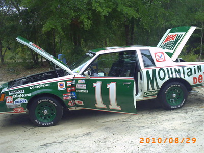 Buick Regal Grand National Custom Paint Jobs
