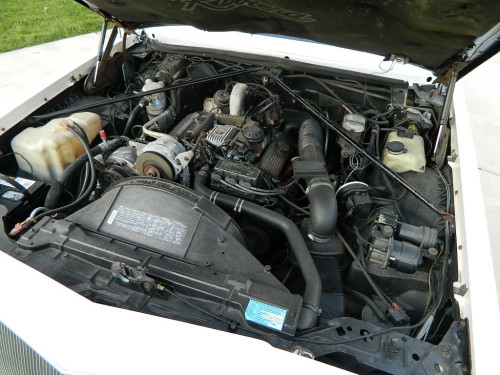 1984 V6 Turbocharged Buick Riviera T-Type